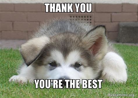 Thank You Youre The Best Puppy Thanks Meme Generator