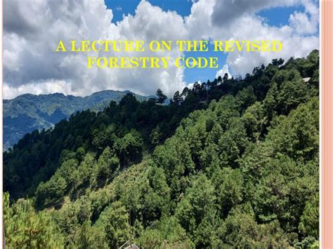 7 Pd 705 And Relevant Forestry Laws Philippines Ppt