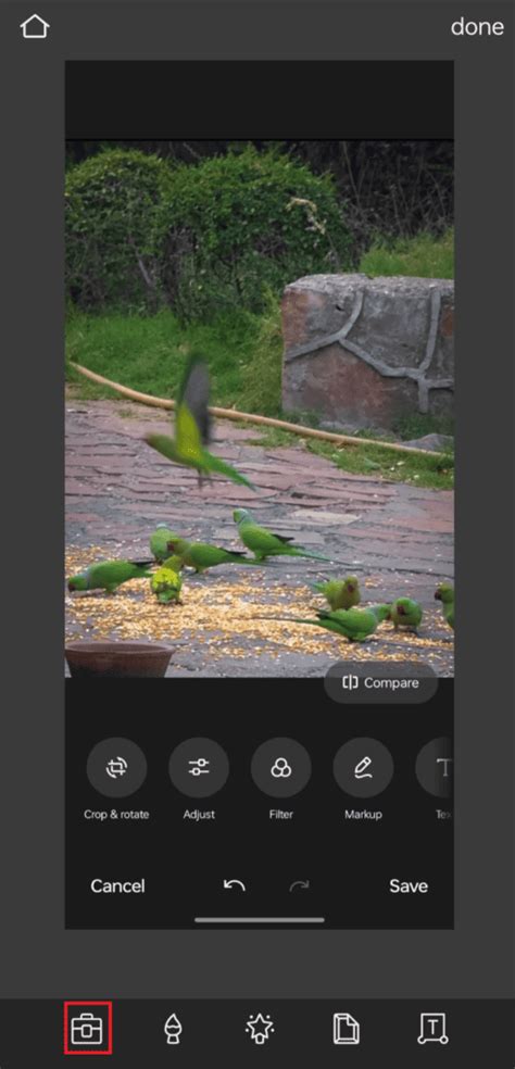 How To Resize A Photo On Android TechCult