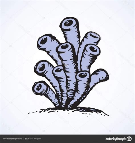 Sea Sponge Easy Drawing At Karima Parker Blog