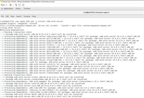 Postgresql 13 Installation With Issue Resolution