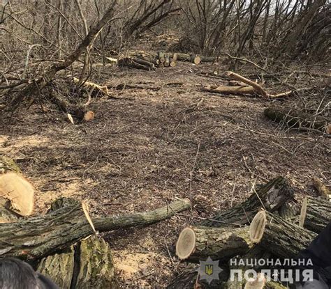 На Днепропетровщине установили организатора группы, которая занималась ...