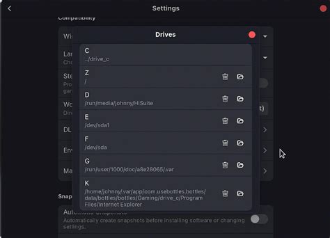 Bug Cannot Edit Existing Drives In Manage Drives They Reset After Restarting Bottles