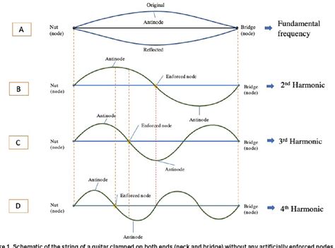Figure 1 From Analysis Of Patterns In The Harmonics Of A String With Artificially Enforced Nodes
