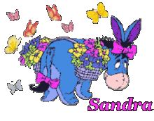 Sandra Name Graphics And Gifs Sandra Name Graphics And Gifs