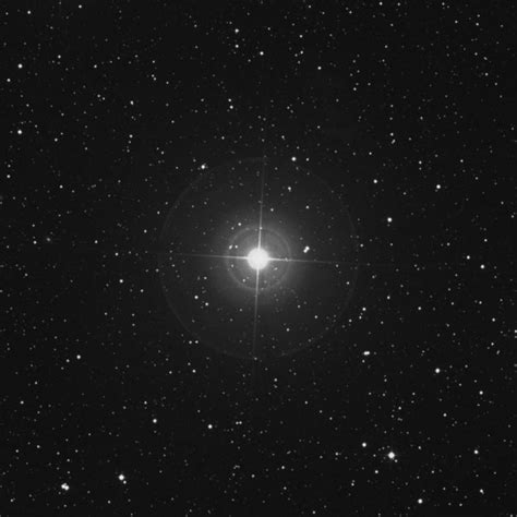 Alfirk β Cephei Beta Cephei Star In Cepheus Theskylive Alfirk β Cephei Beta Cephei Star In Cepheus Theskylive