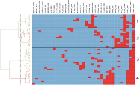 Hierarchical Clustering Of The 53 Accepted Solutions On The Pareto Download Scientific Diagram