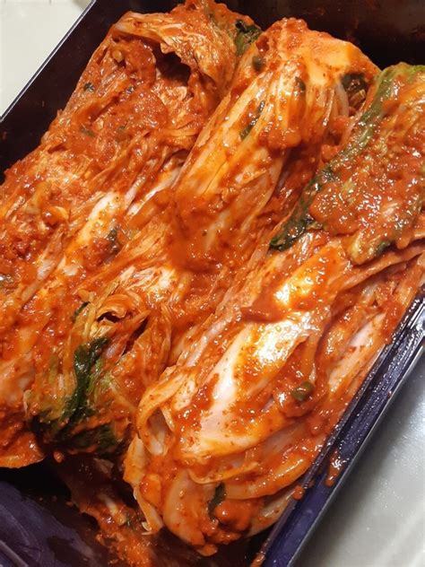 👍👍👍장금이 동생표 포기김치👍👍👍 뉴스트림