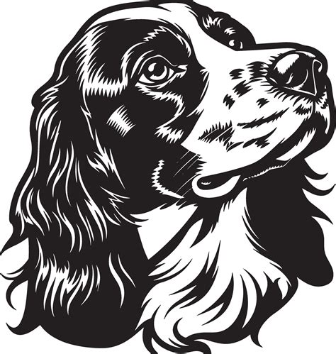 English Cocker Spaniel Dog Clipart English Cocker Spaniel Black