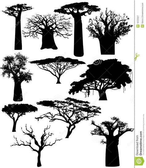 Illustration About Illustration Of The Various African Trees And Bushes