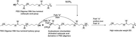 Tiobu4bobu3：破译高分子量聚（丁二酸丁二醇酯）的形成机制journal Of Applied Polymer