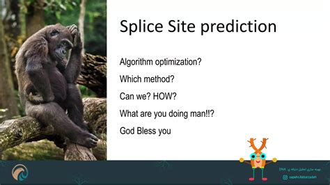 Dna Splice Site Prediction Ppsx