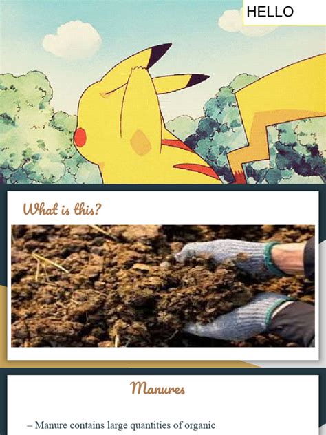 Science Seminar Pdf Home And Garden Science And Mathematics