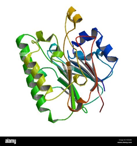 ImageSource RCSB PDB StructureID F R DOI Dx Doi Org Pdb F R Pdb F R Pdb