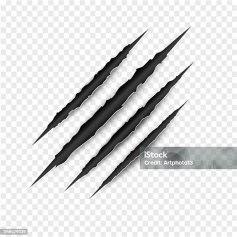 투명 한 흰색 배경에 격리 된 발톱 스크래치의 그림 창조적 인 종이 공예 와 컷 스타일 무서운 열상 위험 종이 표면 발톱 긁힘