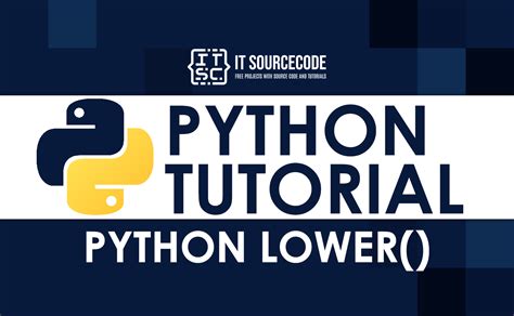 Python Lower Method With Advanced Examples
