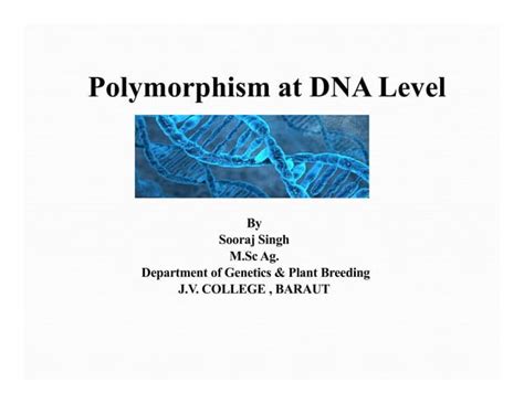 Topic Polymorphism At Dna Level Cytogenetics Ppt