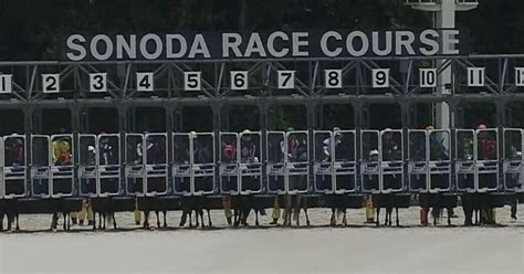 67園田競馬と闘うnote2rパドック後予想3連単and馬単＋5r3連複｜馬人all The People