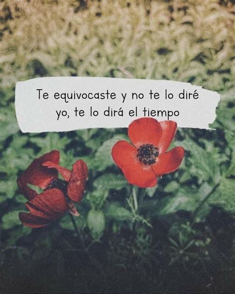 Te Equivocaste Y No Te Lo Diré Yo Te Lo Dirá El Tiempo
