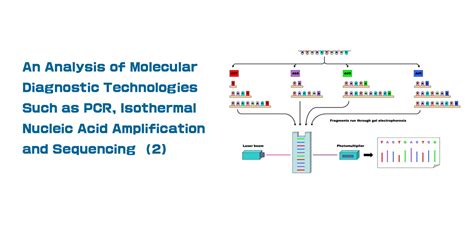 Nucleic Acid Amplification Techniques Dna Amplification Frontiers