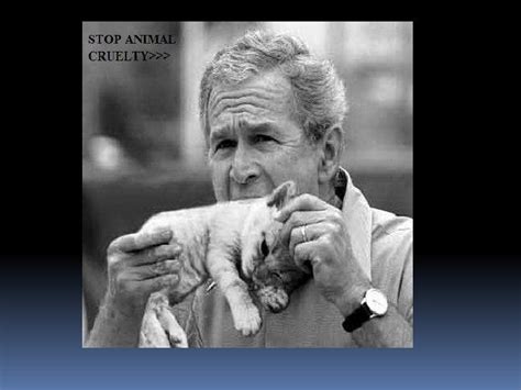 2300 Visual Arguments