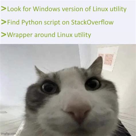 MemesAndJokesAboutEverythingProgrammingAndCS