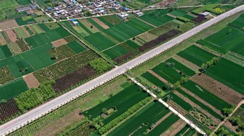 循红色足迹 看交通新貌崇凝镇：路通地头车到村