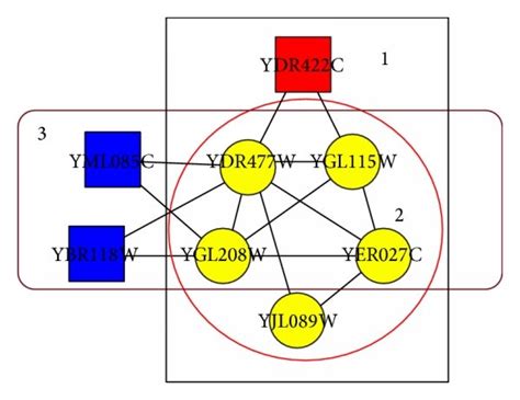 Amp Activated Protein Kinase Complex Download Scientific Diagram