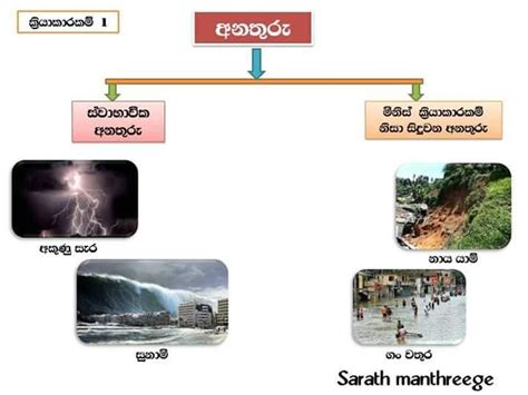 🌹4 ශ්‍රේණිය 👍පරිසරය ආශ්‍රිත පුංචි අපේ පන්තිය