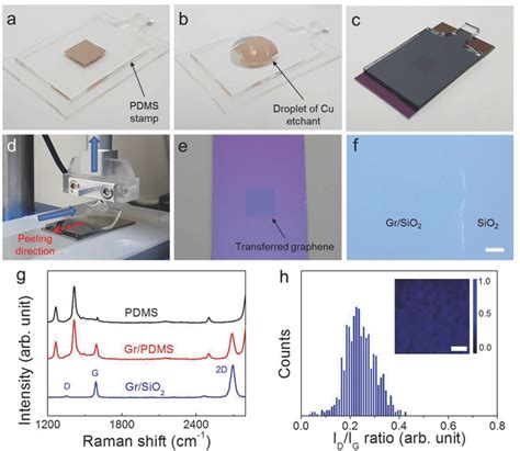 Photographs Of Transfer Printing For Monolayer Graphene To Sio2si