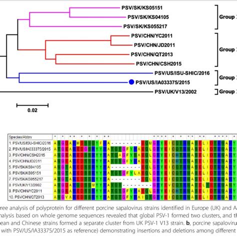 Schematic Bioinformatic Analysis Workflow Used For Identification Of