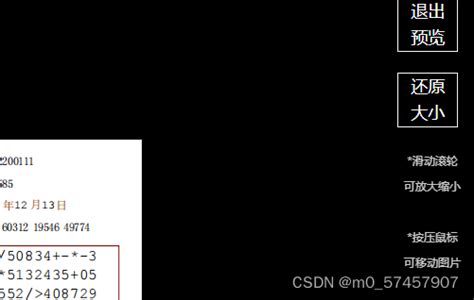 Vue实现图片预览与操作功能 Csdn博客