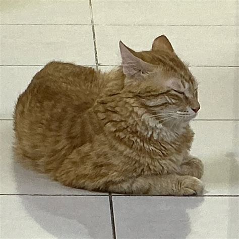 Ayat Tabrez Ayatthealoo • Threads Say More Ayat Tabrez Ayatthealoo • Threads Say More