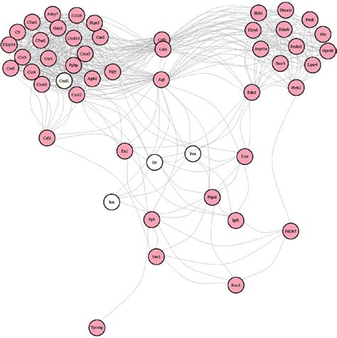 Ppi Analysis Direct Physical And Indirect Functional Associations