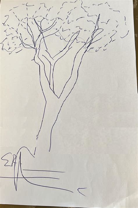 Rama Arkitekti I Ndërtimit Dhe Prishjes Së Prestige Resort” Vizita E 6 Viteve Më Parë Dha