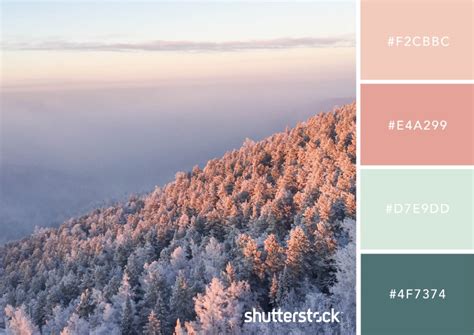 Freebie 10 Winter Color Palettes Inspired By Nature Shutterstock