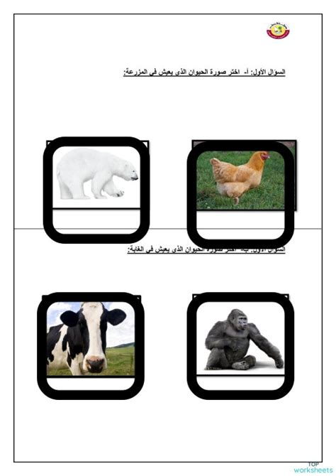Test Teachers Interactive Worksheet Topworksheets
