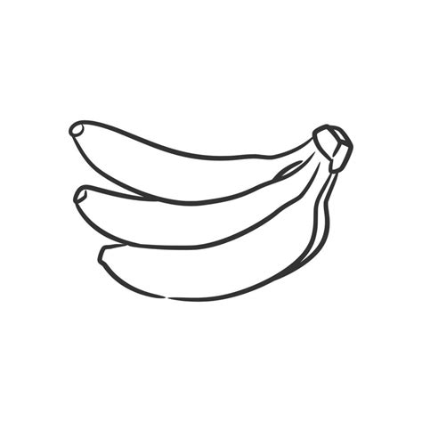 Banana Line Art Vector Illustration 20297724 Vector Art At Vecteezy