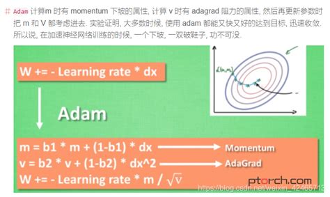 pytorch学习——优化器 optimizer optim adam model parameters csdn博客