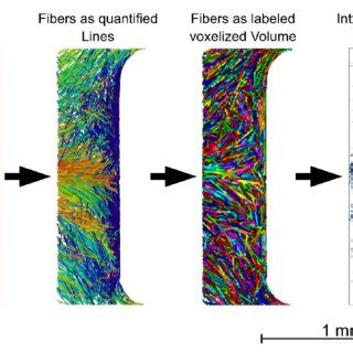 Evaluation Method Of The X Ray Microtomography Data Download Scientific Diagram