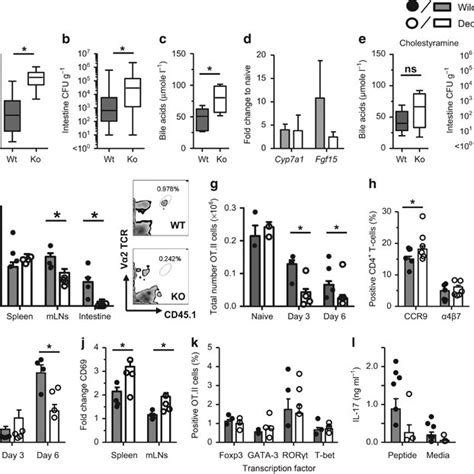 Dectin 2 Is Not Required For Antigen Specific Cd4 T Cell Responses In Download Scientific