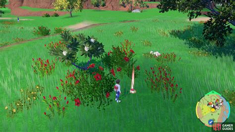 Elixir Pokémon Scarlet And Violet Database Gamer Guides®