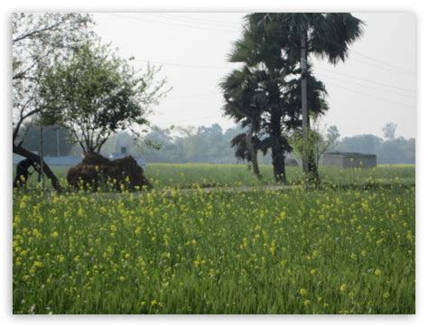 Christian Shashi K Uhd Wallpaper For Ultrahd Desktop And Tv