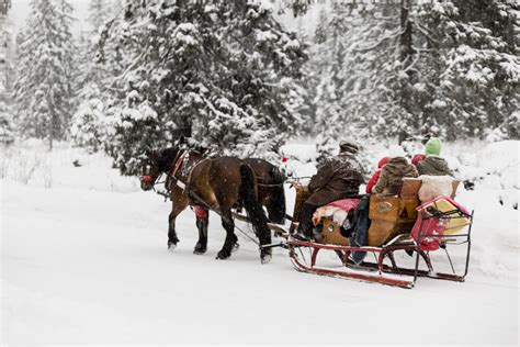 Non Skiing Activities In Angel Fire Nm Winter Guide