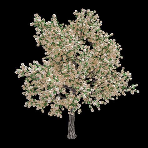 Forest Pear Pear Tree 3d Model 28 Max Free3d