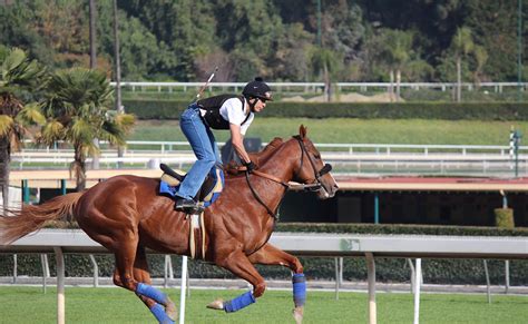 What Does It Mean To Dream Of A Jockey Dream Glossary