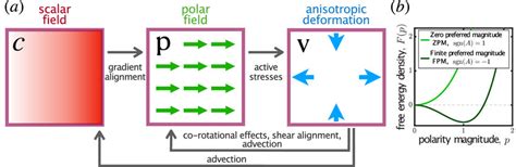 A Schematic Representation Of The System The Gradient Of A Scalar