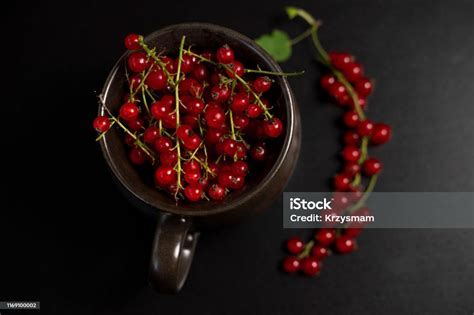 어두운 배경에 머그잔에 빨간 건포도 강하게 붉은 맛있는 건포도 미디어에서 사용하기위한 맛있는 배경 0명에 대한 스톡 사진 및