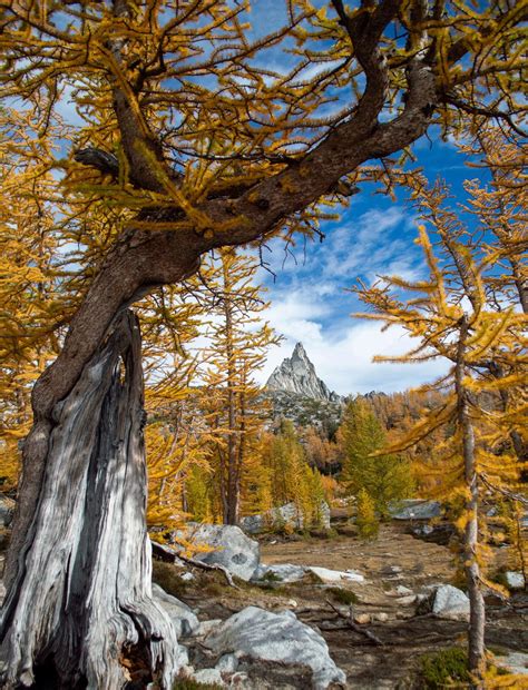 Gleaner — Septemberoctober 2022 By Gleaner Northwest Adventists In Action Issuu