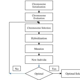 Genetic Algorithm Flowchart Download Scientific Diagram